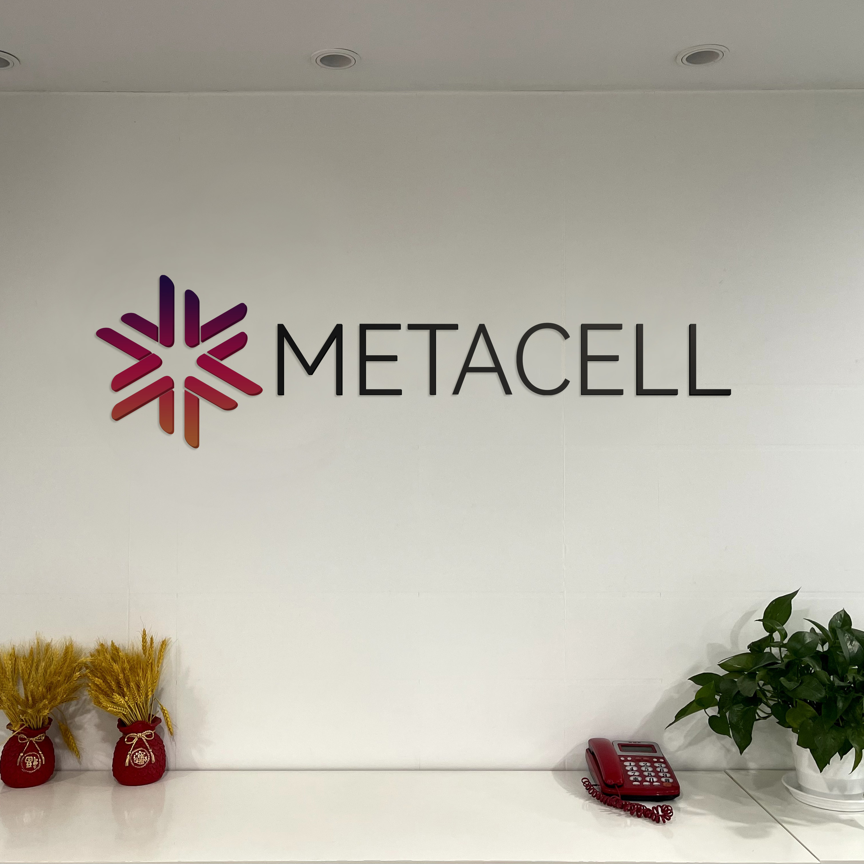 Metacell